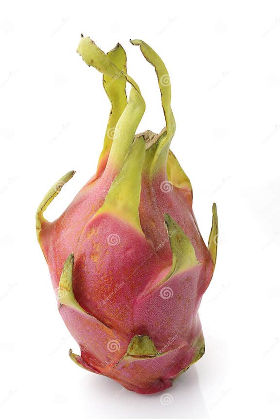 Dragon Fruit stock image. Image of nature, drop, cross - 50854635