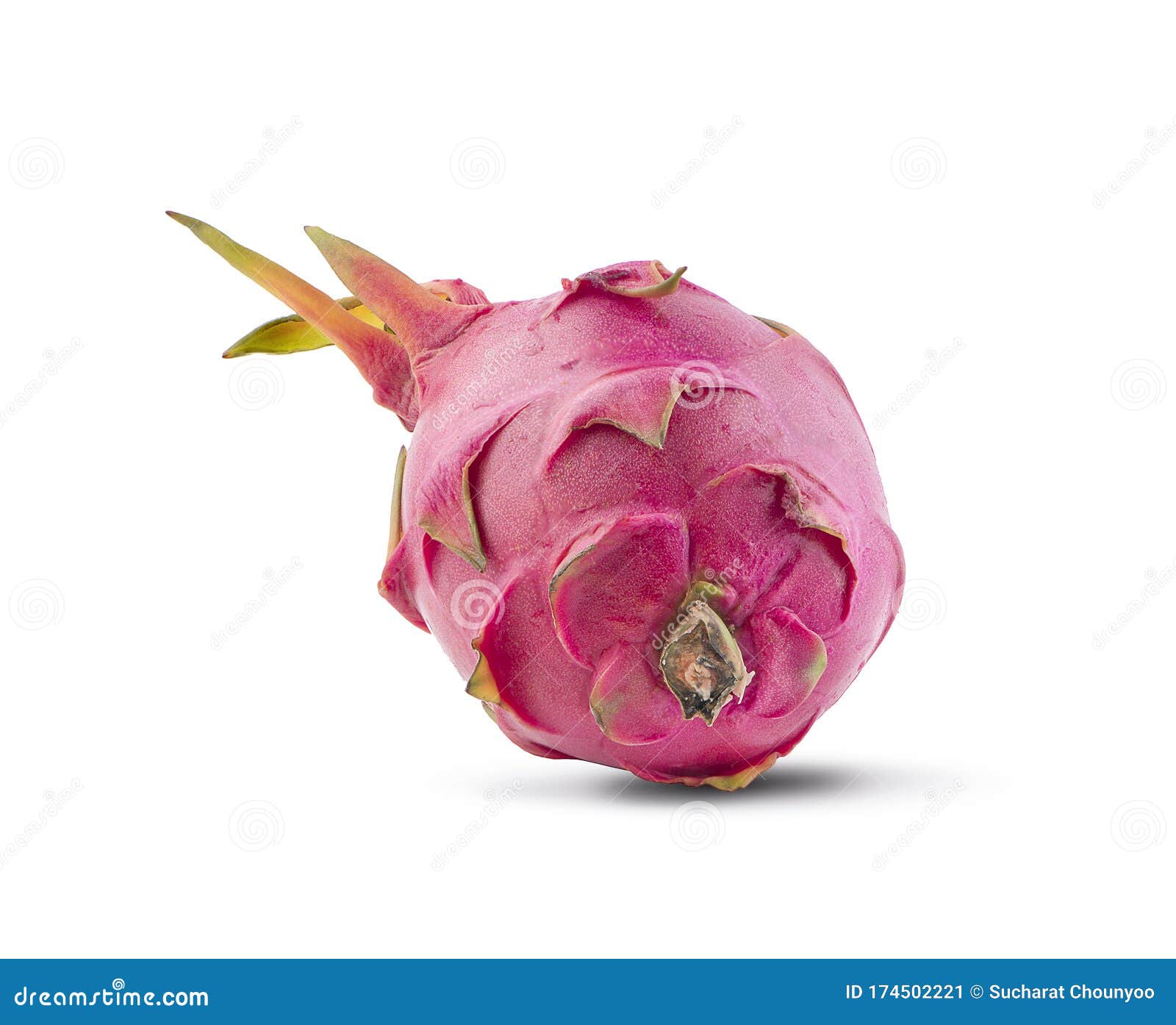 Dragon Fruit Isolated on White Background. Stock Image - Image of ...
