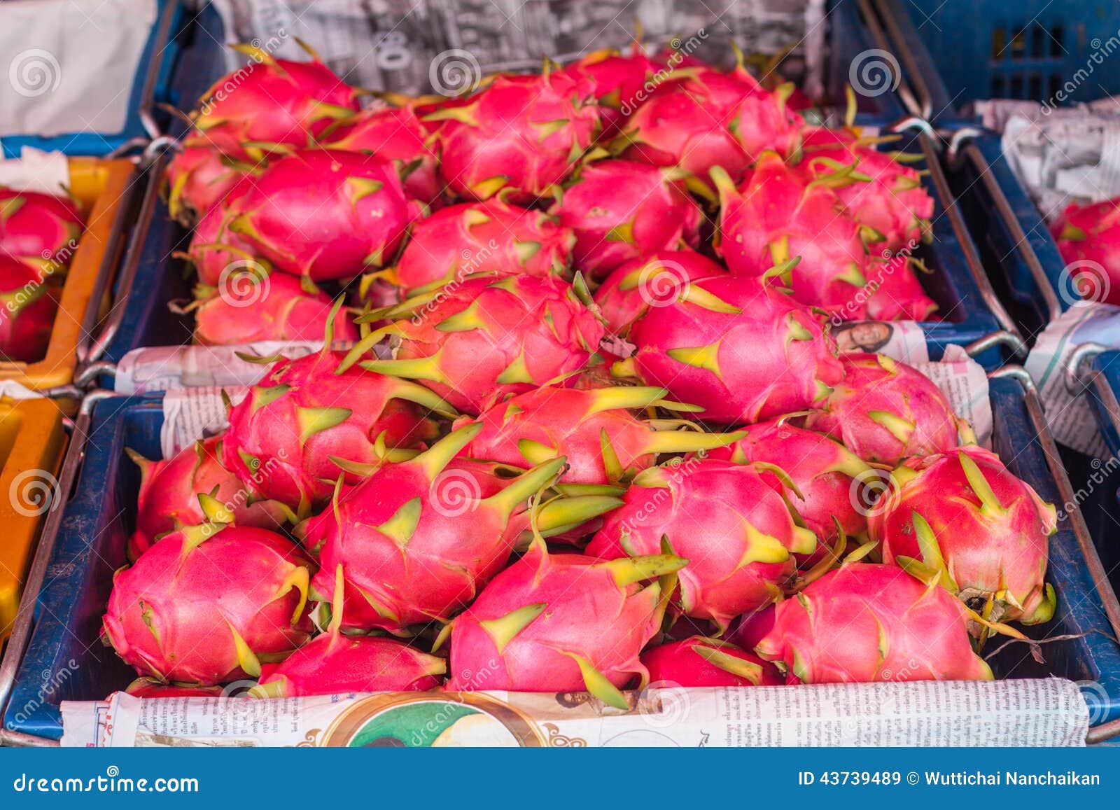 Dragon fruit in the market stock image. Image of grow - 43739489