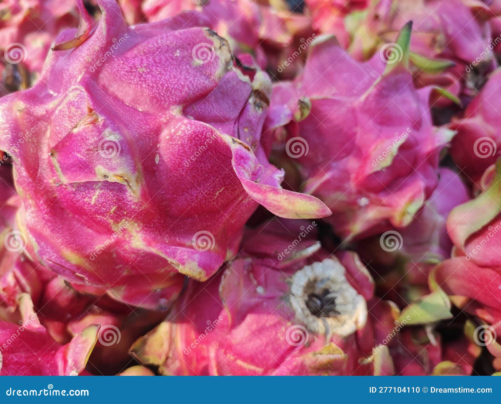 Dragon Fruit without Peeling Stock Photo - Image of juicy, dragonfruit: 277104110