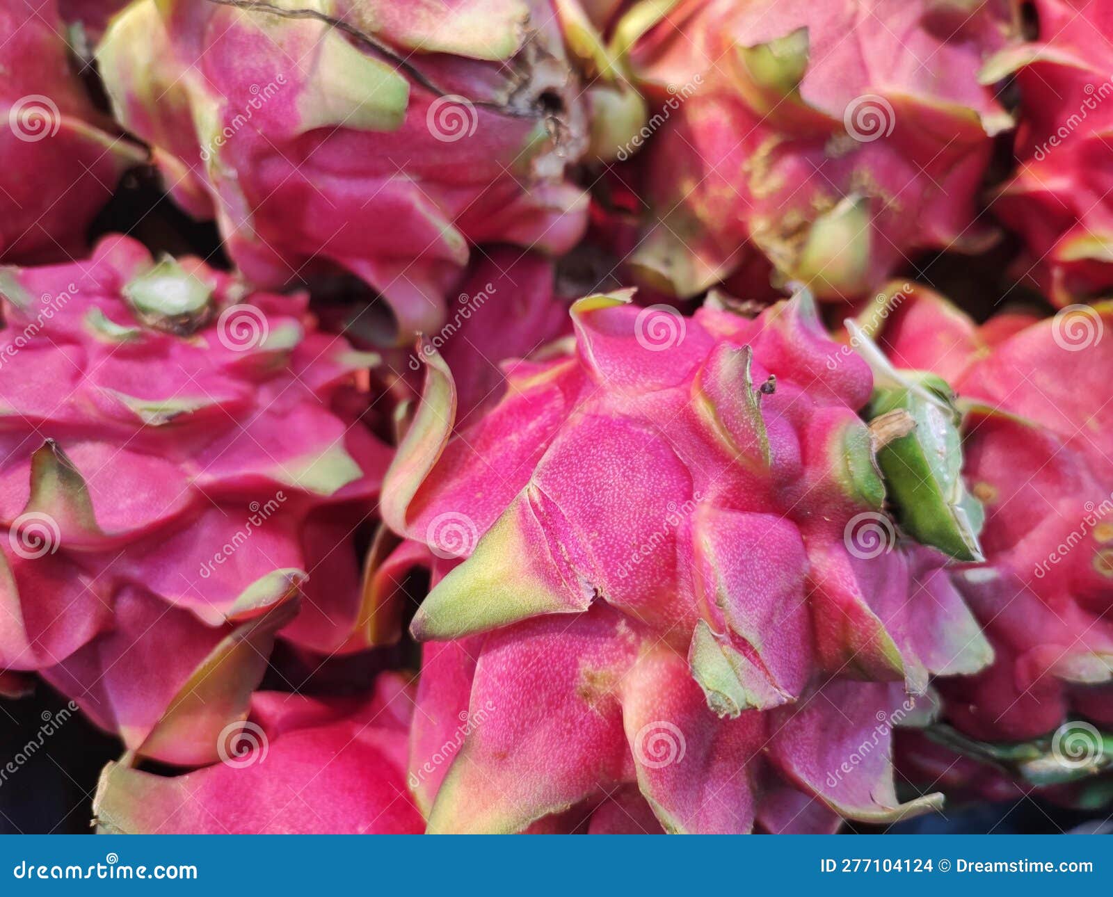 Dragon Fruit without Peeling Stock Photo - Image of organic, delicious ...