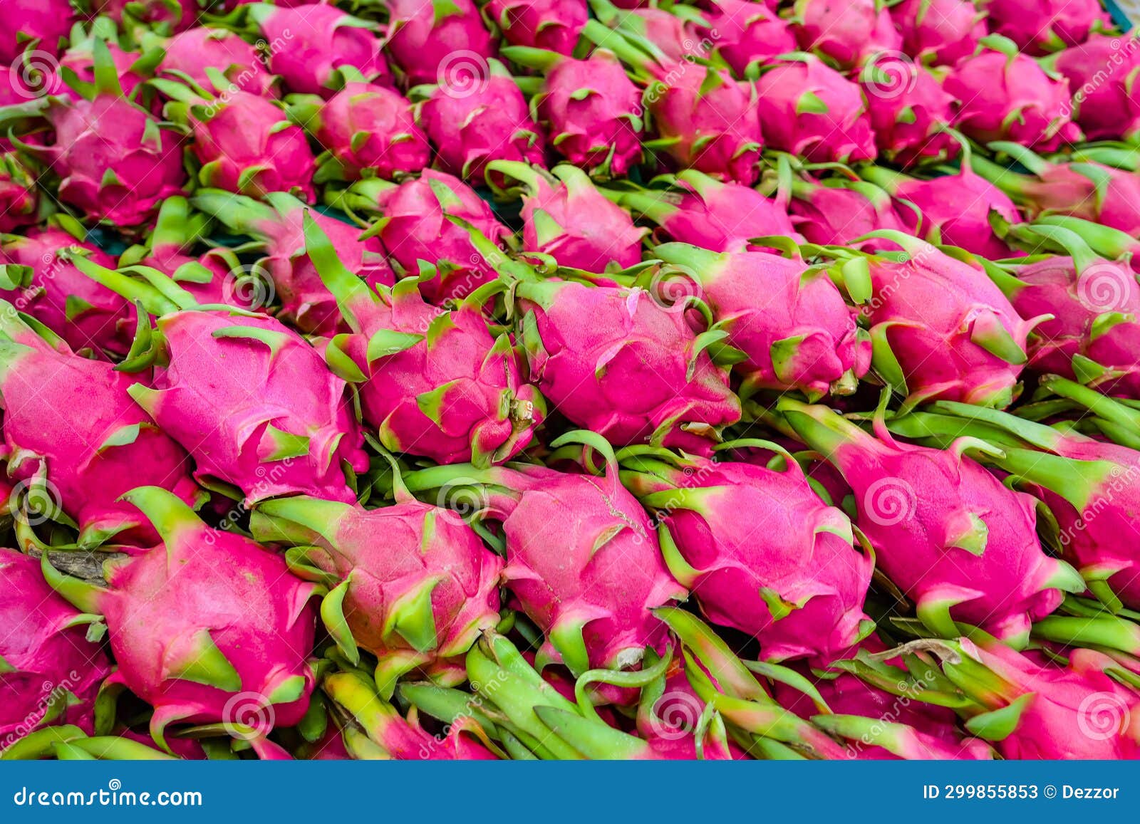 Dragon Fruit Pink Color in the Market Stock Image - Image of organic ...