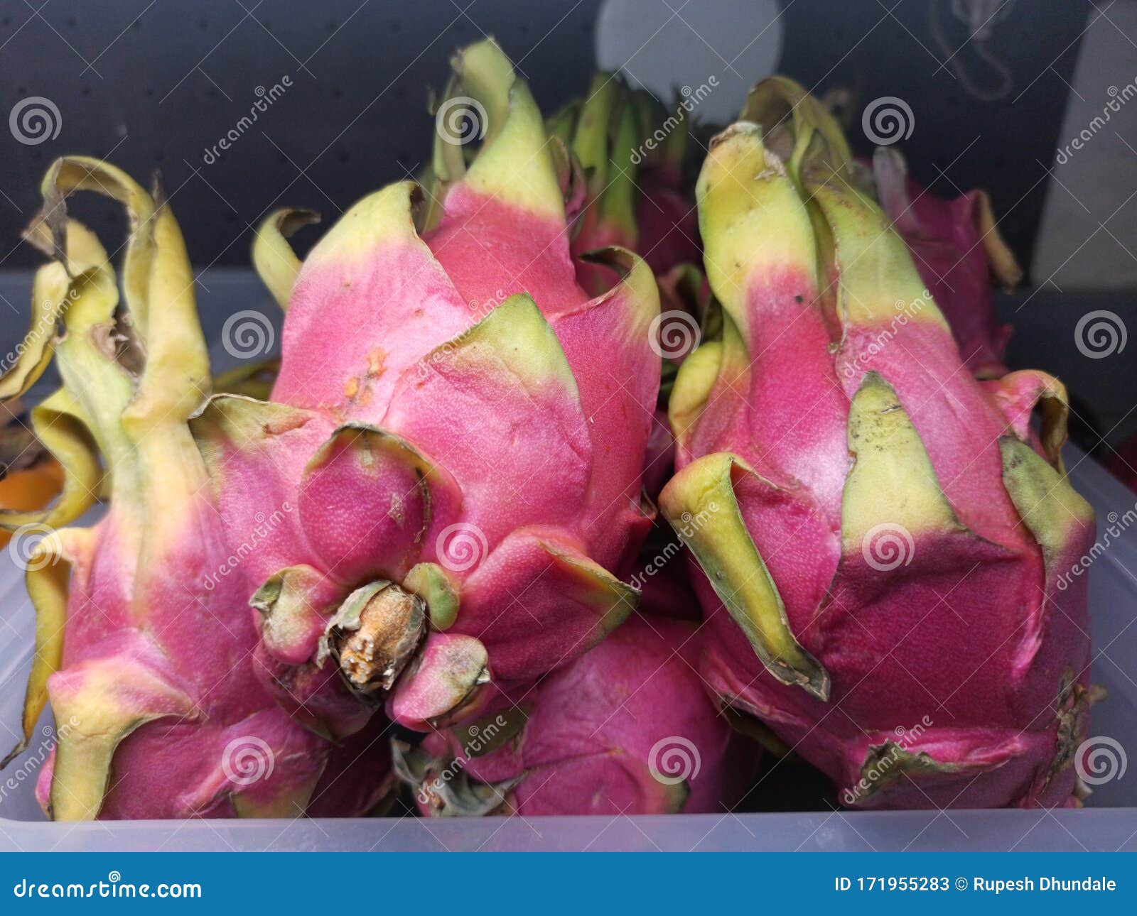 Dragon Fruit Pink Colour Fruits Stock Image - Image of pink, healthy ...