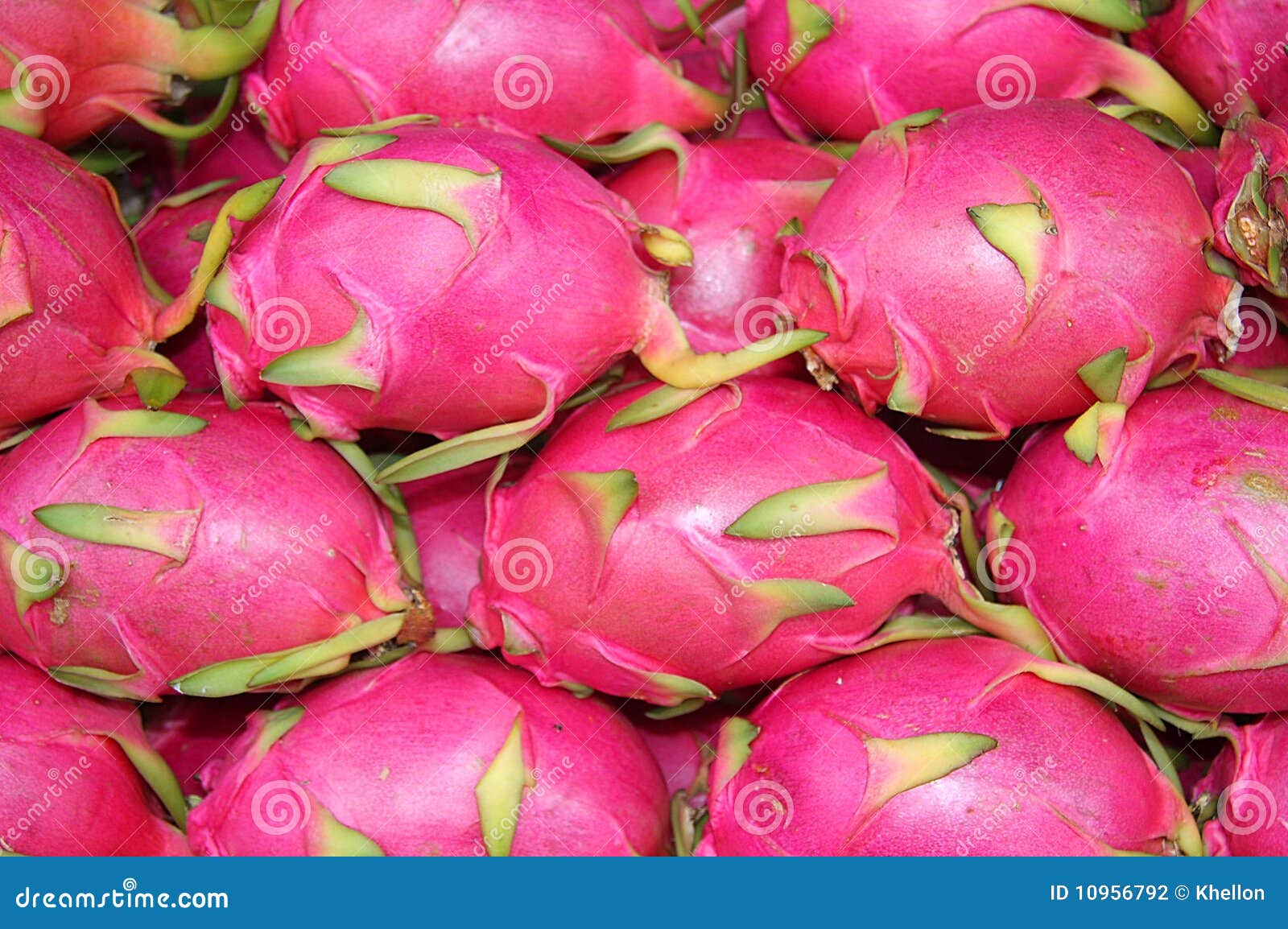Dragon Fruit or Pitaya stock photo. Image of pink, strawberry - 10956792