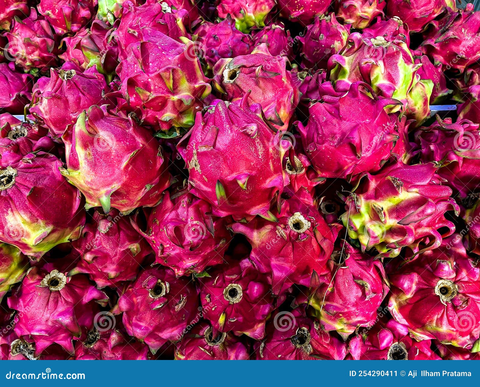 Dragon fruit stock image. Image of asia, fresh, color - 254290411