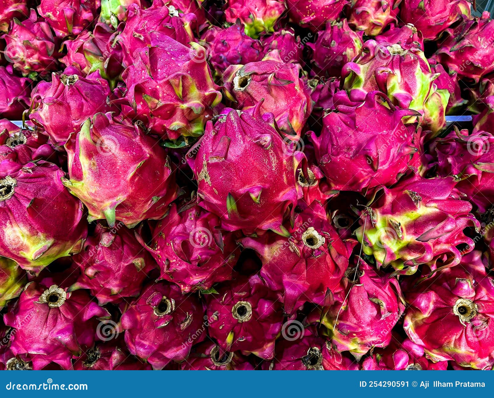 Dragon fruit stock image. Image of bright, dragon, health - 254290591