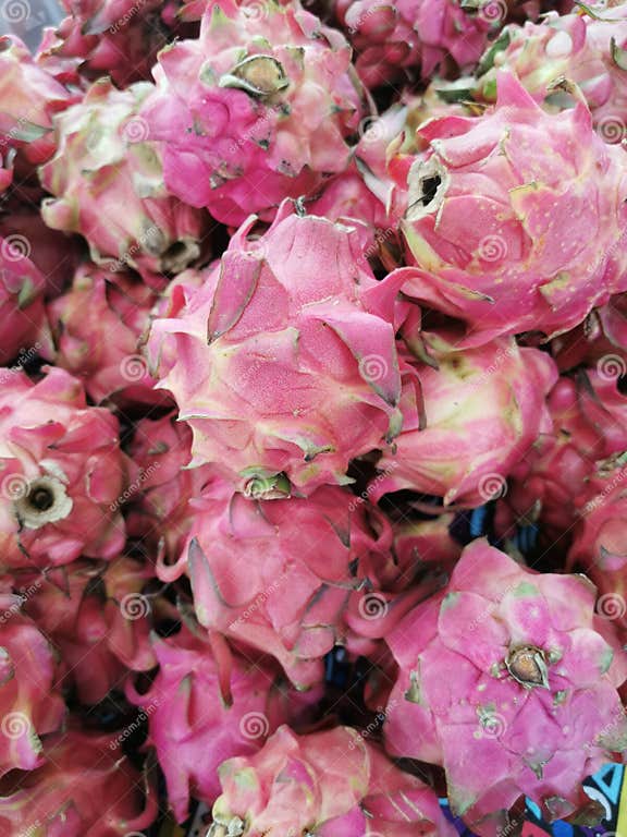 Dragon fruit texture stock image. Image of beauty, garden - 316390085