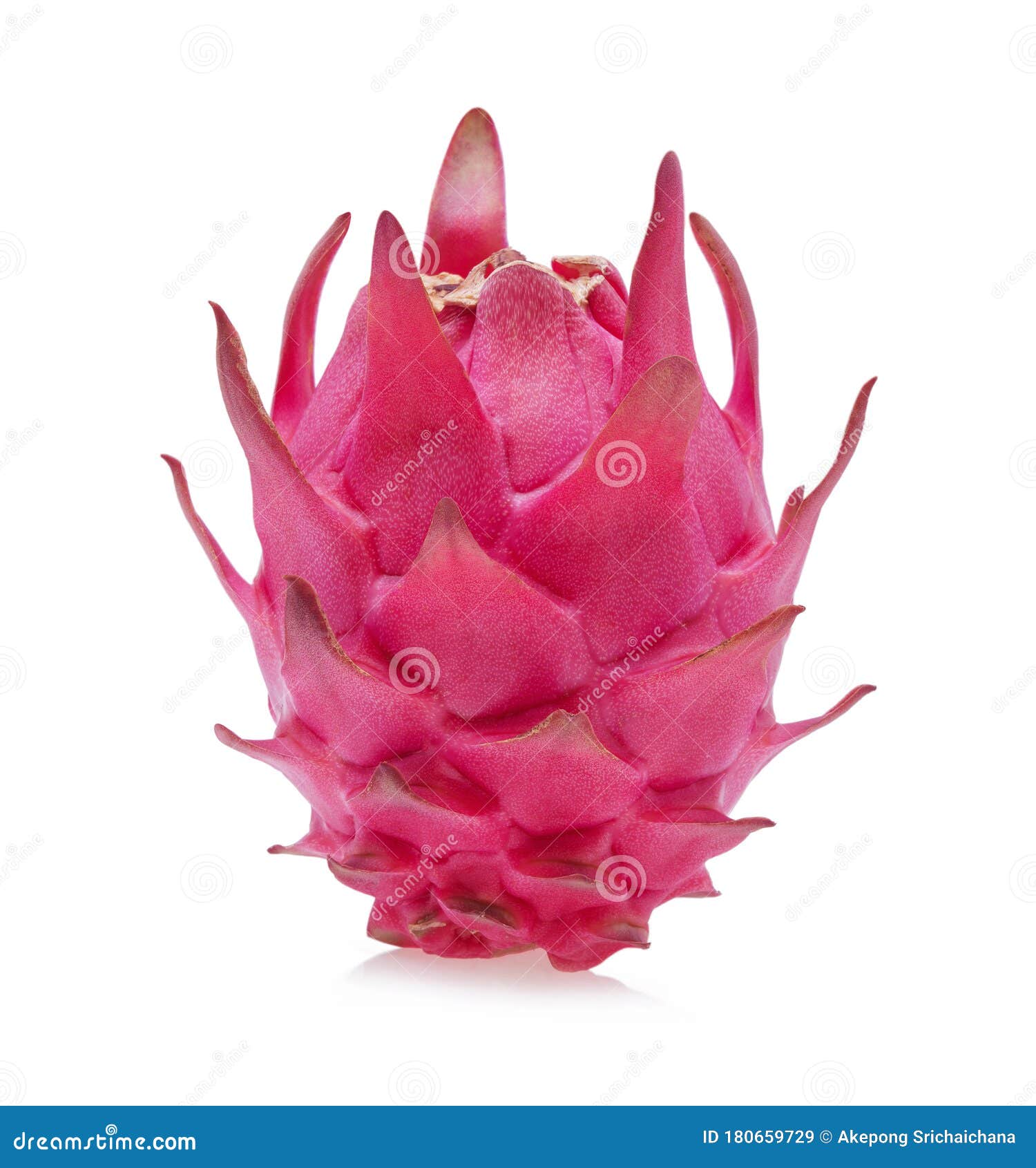 Dragon Fruit on White Background Stock Image - Image of white, tropical ...