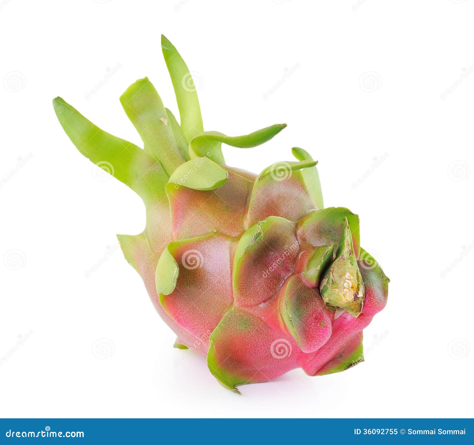 Dragon Fruit on White Background Stock Image - Image of healthy, detail ...