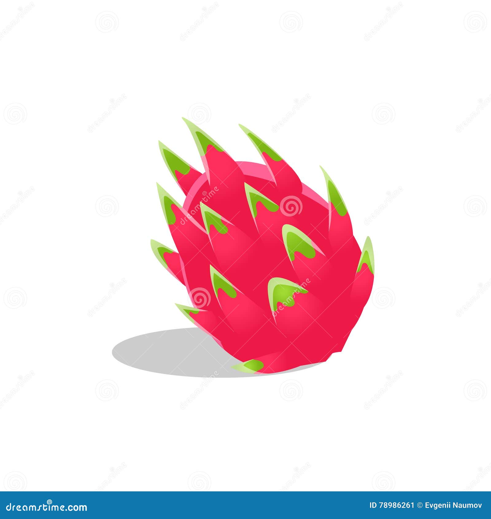 Dragon Fruit Whole Bright Icon Stock Vector - Illustration of element ...