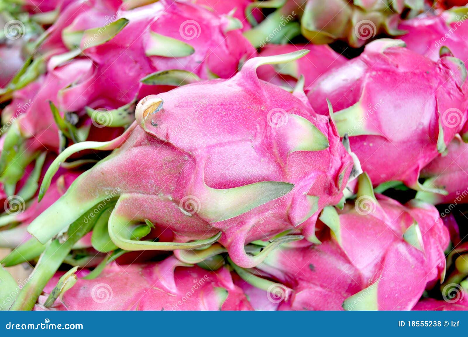 Dragon fruits stock photo. Image of chinese, stacked - 18555238