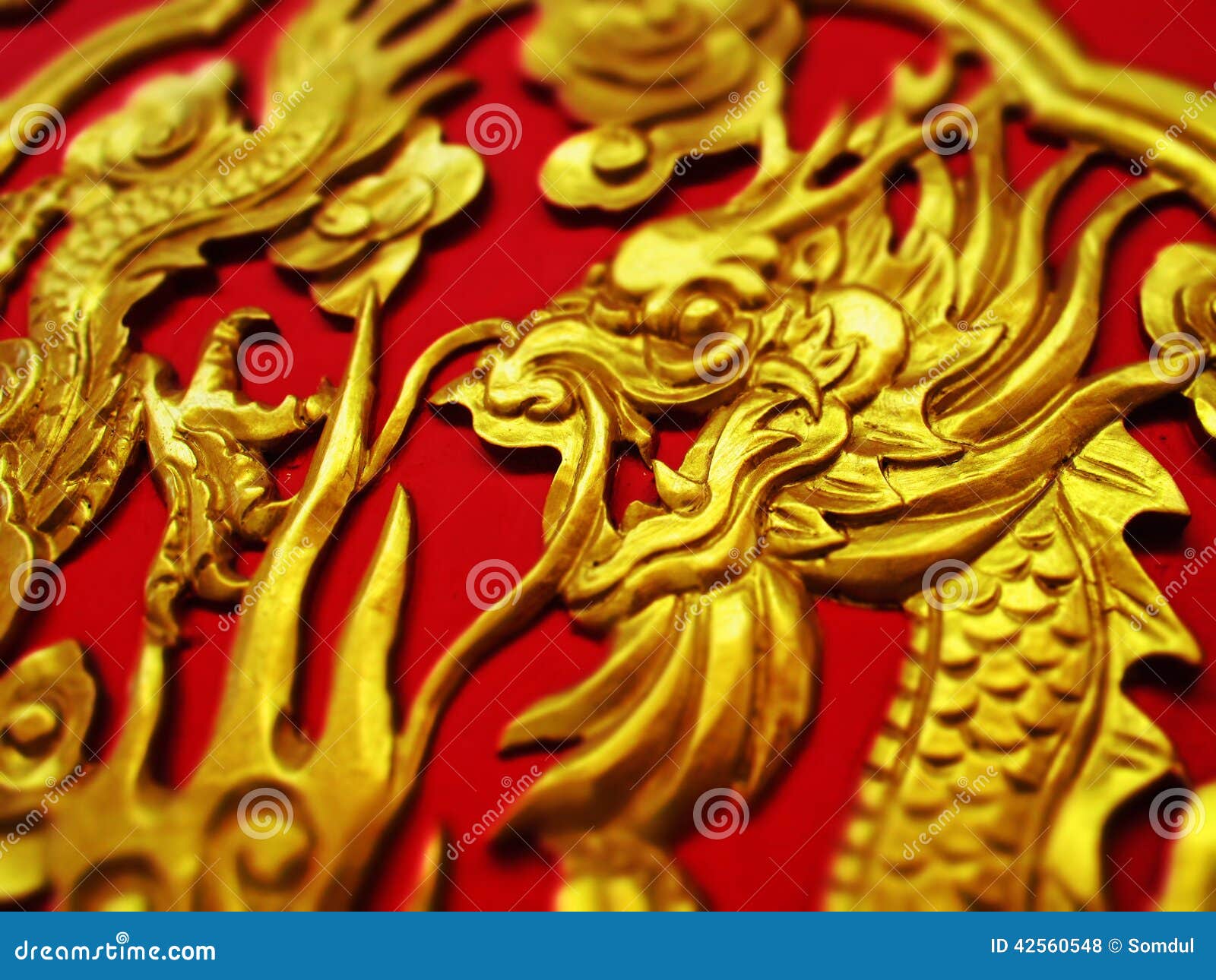 Dragon stock photo. Image of pattern, dragon, gold, asia - 42560548