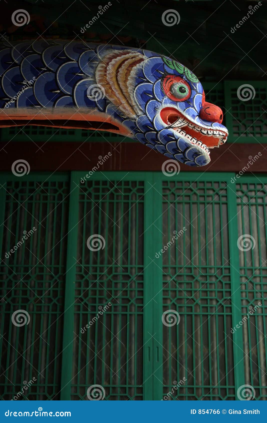 Dragon Head Guppy Aquarium Fish Poecilia Reticulata Royalty-Free Stock ...