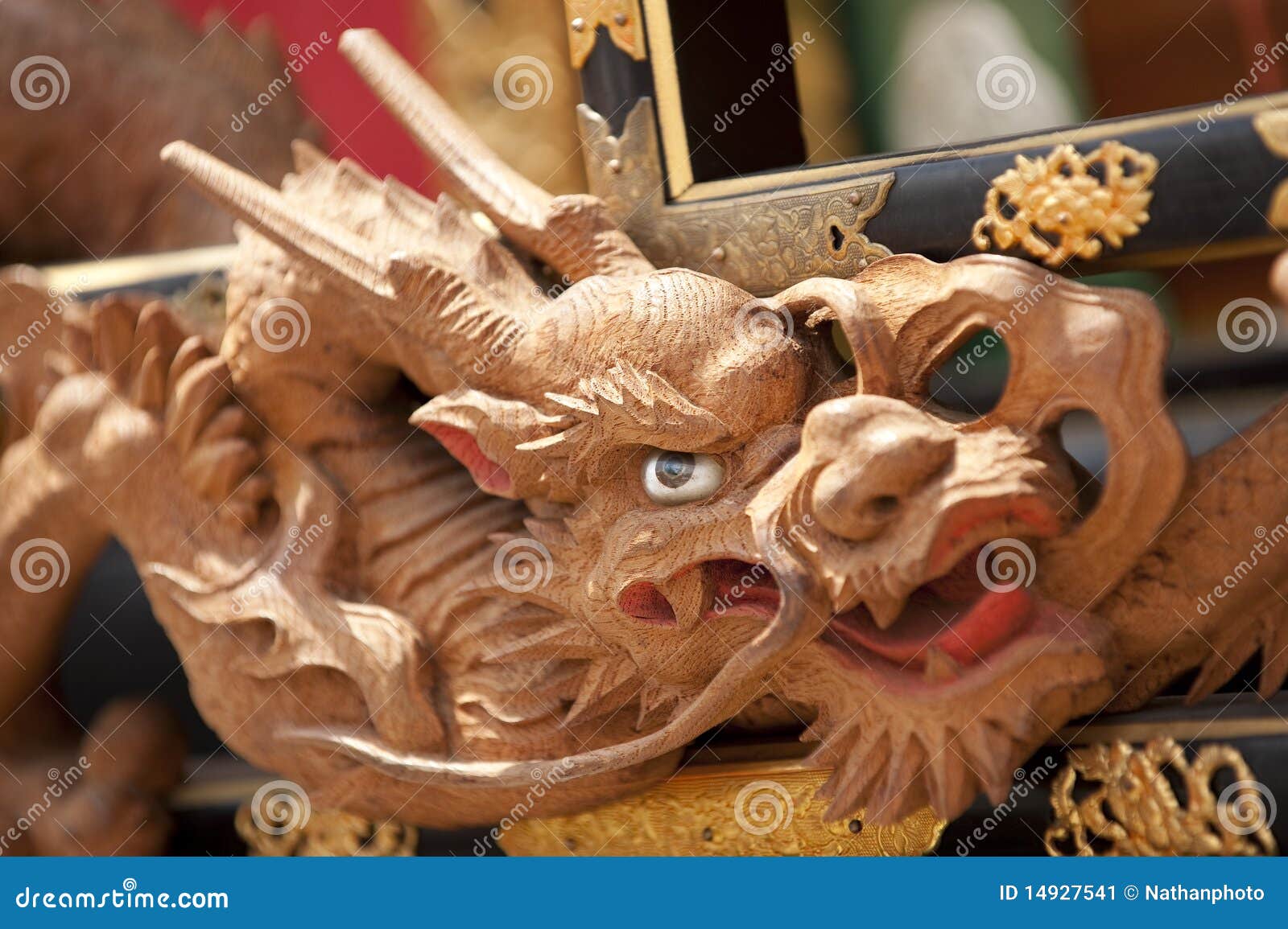 Dragon Head Guppy Aquarium Fish Poecilia Reticulata Stock Photography ...