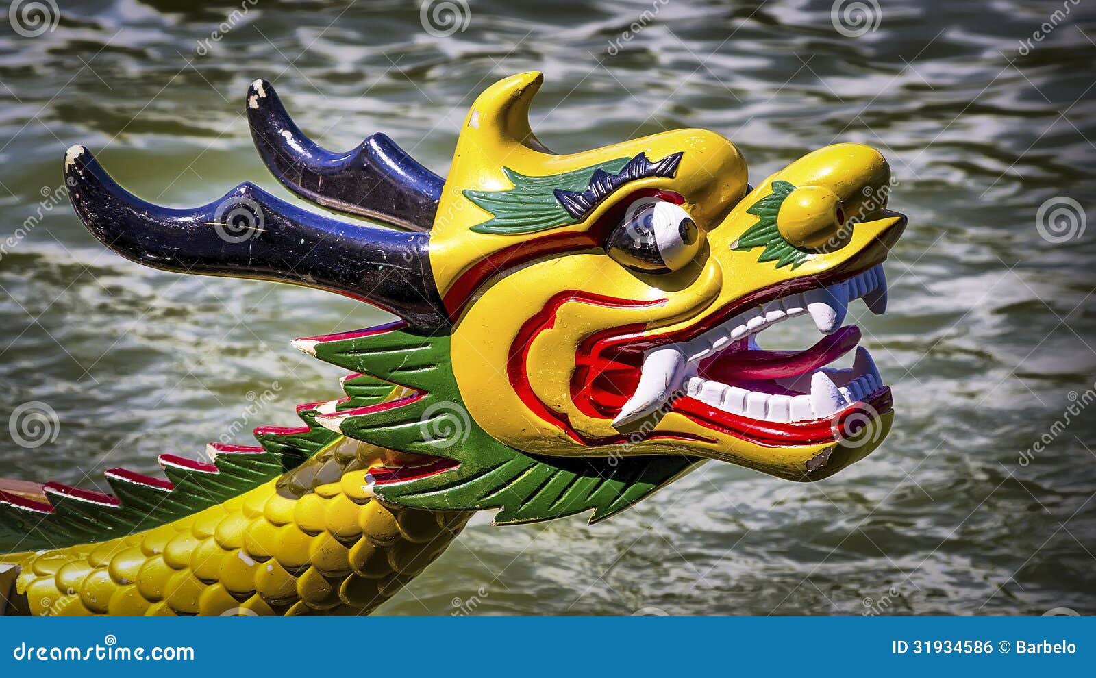 Dragon Head Guppy Aquarium Fish Poecilia Reticulata Royalty-Free Stock ...