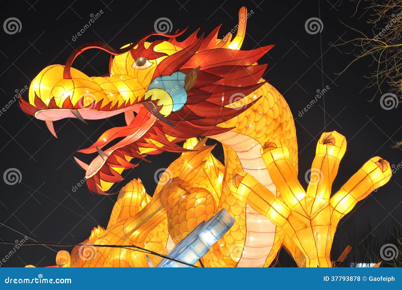 Dragon lantern stock photo. Image of bonanza, shenyang - 37793878