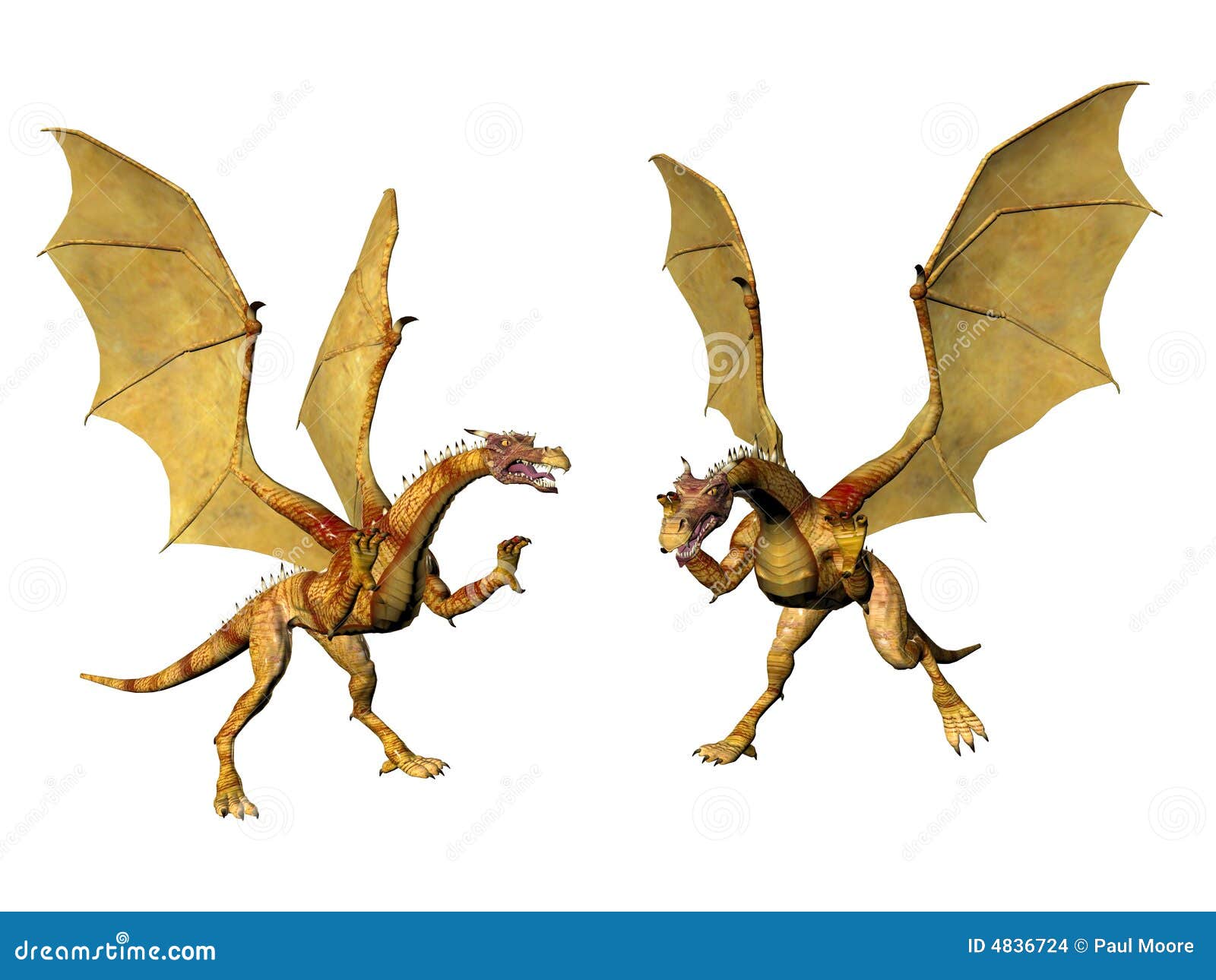 Dragon Pair stock illustration. Illustration of dragon - 4836724