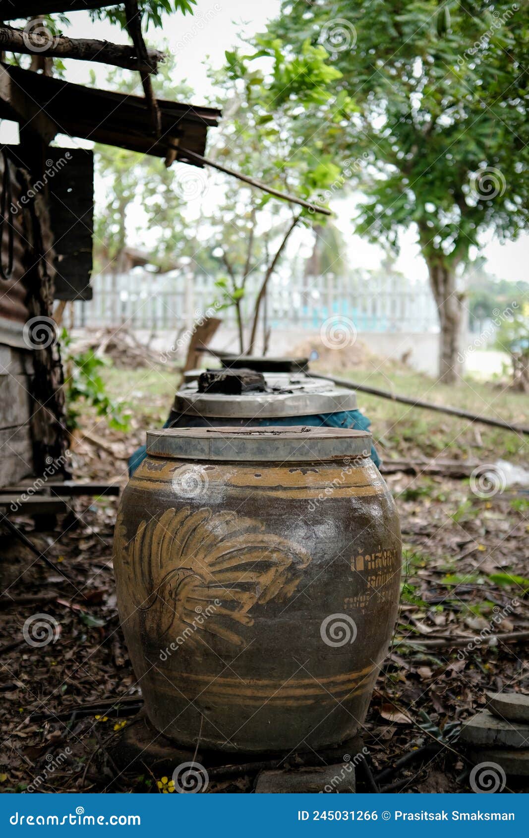Pattern and Texture of Dragon Tank Stock Photo - Image of tank ...