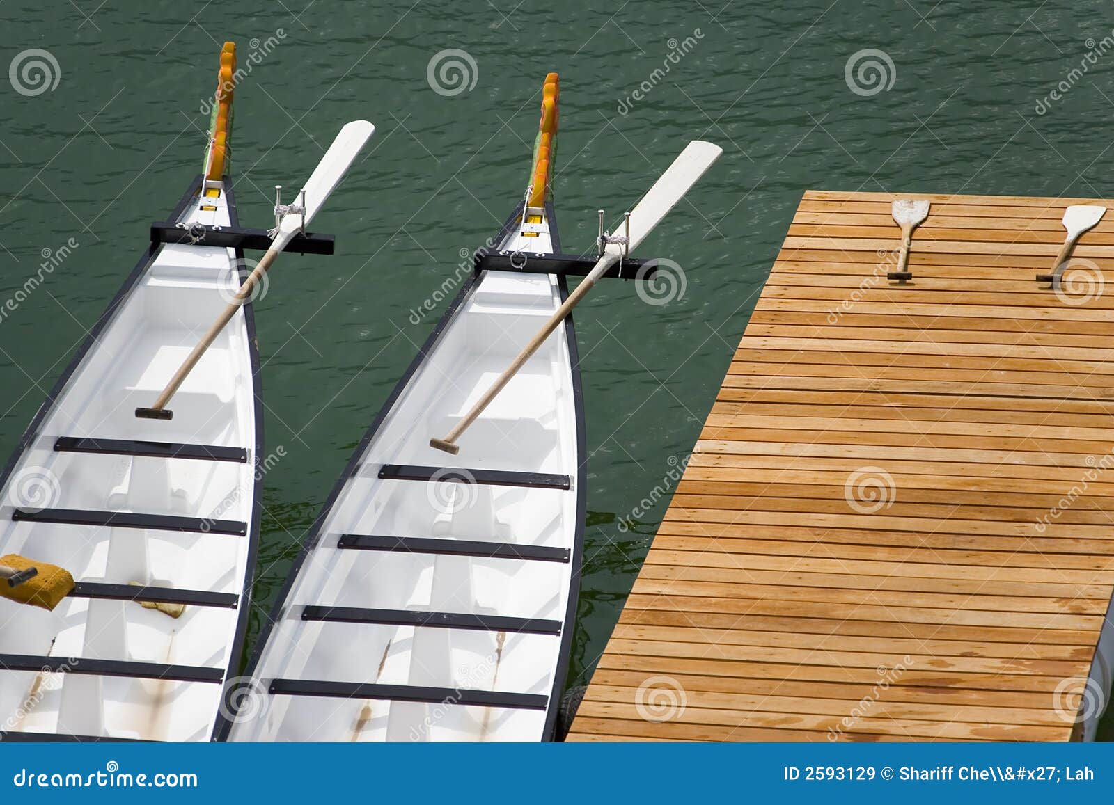 Dragon Rowing Boats stock image. Image of boat, ocean - 2593129