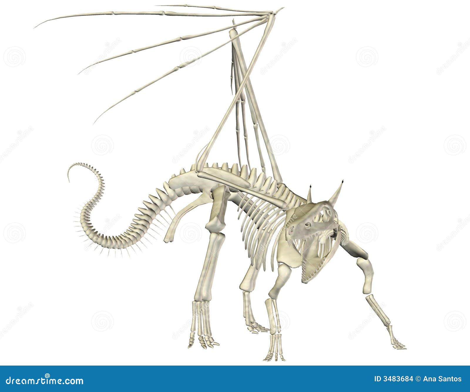 Dragon Skeleton stock illustration. Illustration of fright - 3483684