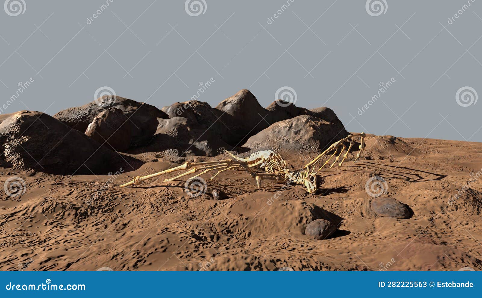 Dragon Skeleton Lying on Arid Terrain Stock Illustration - Illustration ...