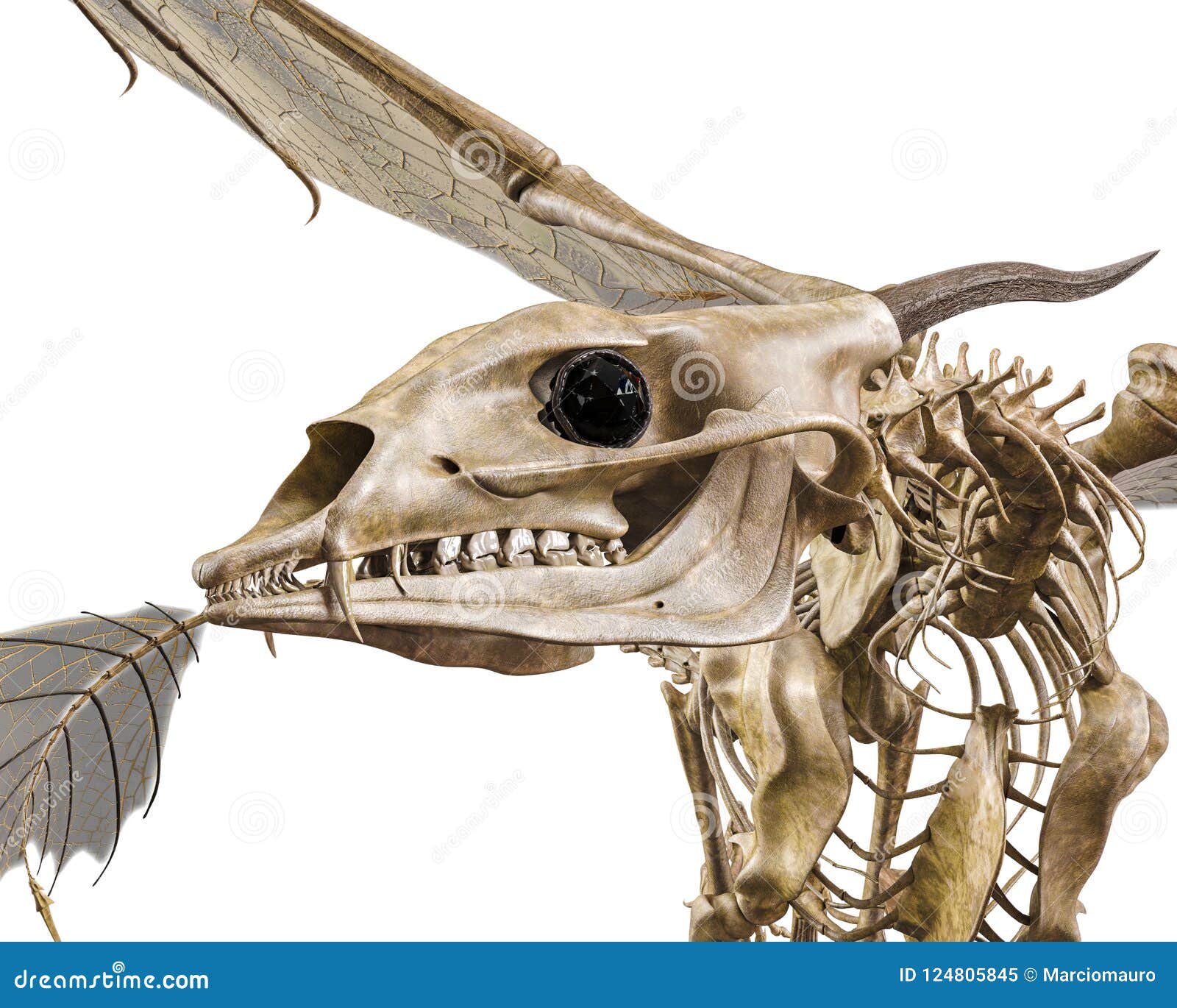 Dragon Skeleton Lying On Arid Terrain Royalty-Free Cartoon ...