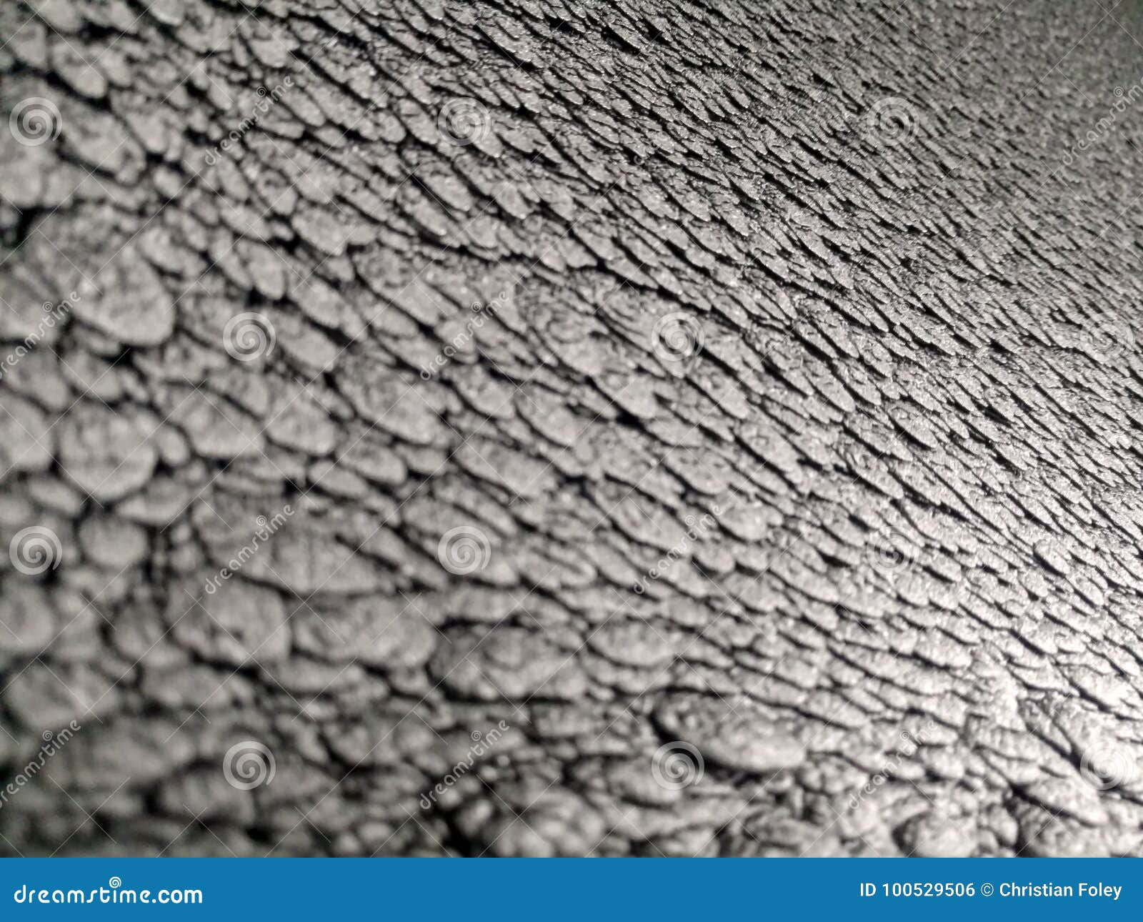 Dragon skin 2 stock photo. Image of original, perspective - 100529506