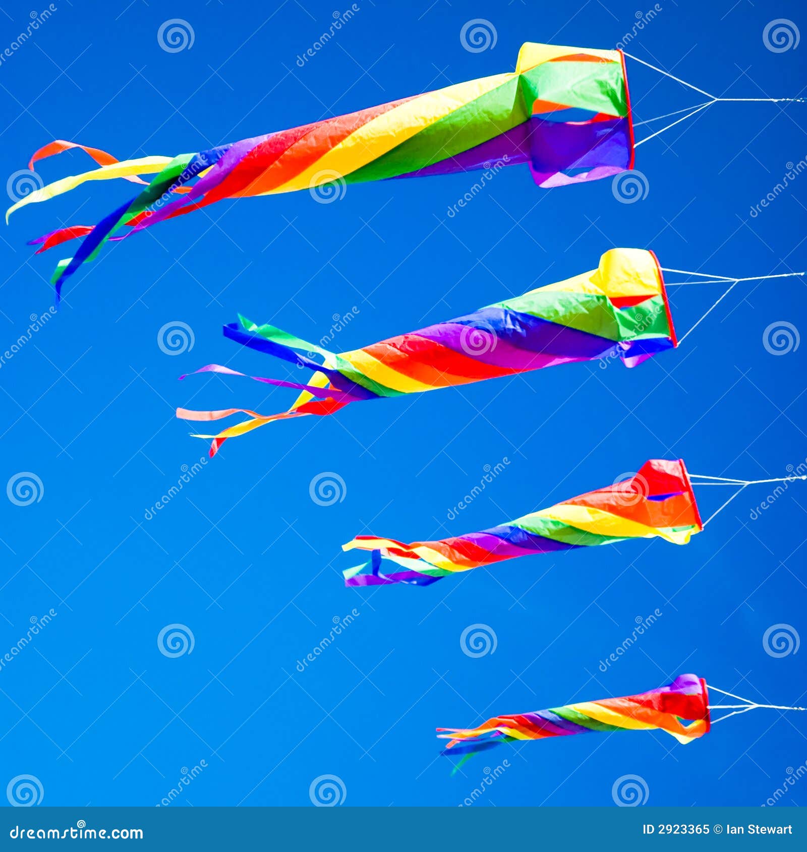 Kites In Real Life