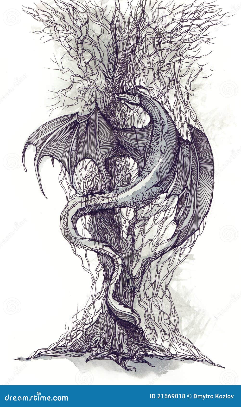 Dragon tree stock illustration. Illustration of ancient - 21569018