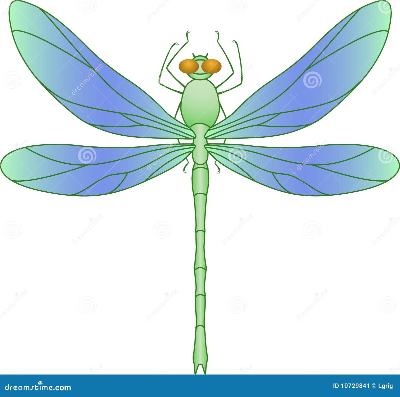 Dragonfly stock vector. Illustration of insect, flying - 10729841