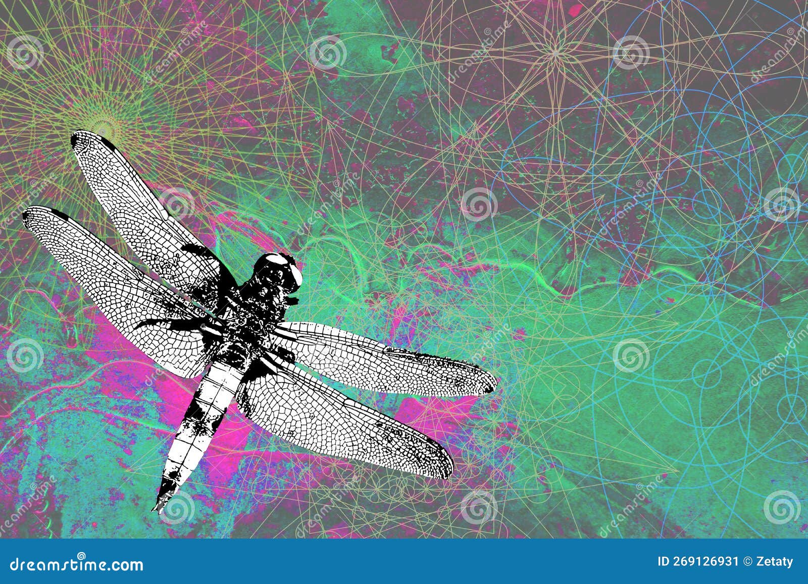 Dragonfly Symmetry Stock Image | CartoonDealer.com #80031451