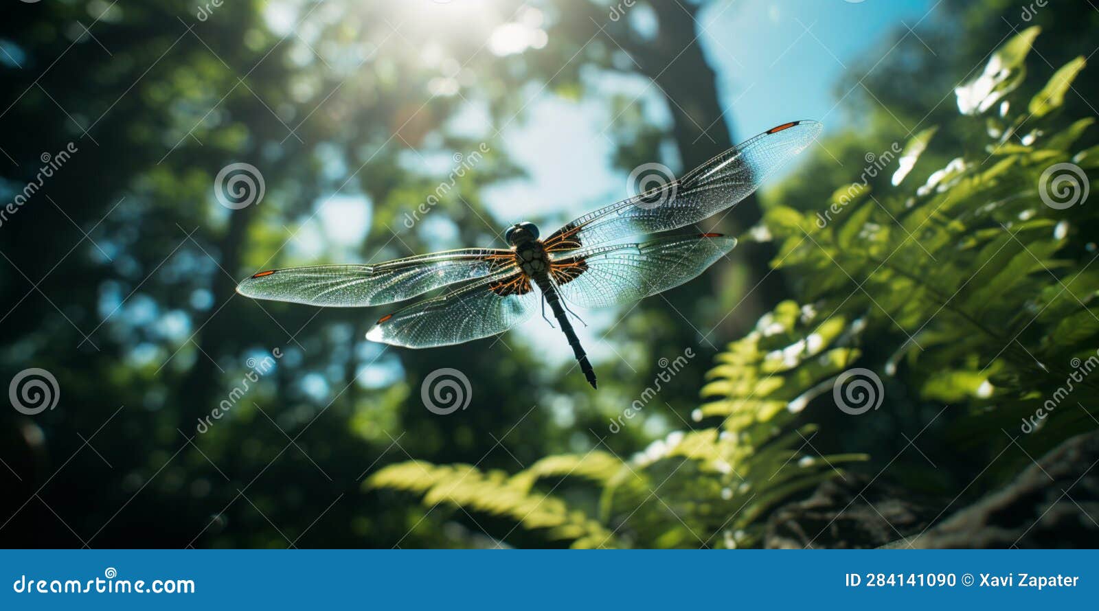 Dragonfly Flying among the Plants Stock Photo - Image of wildlife ...
