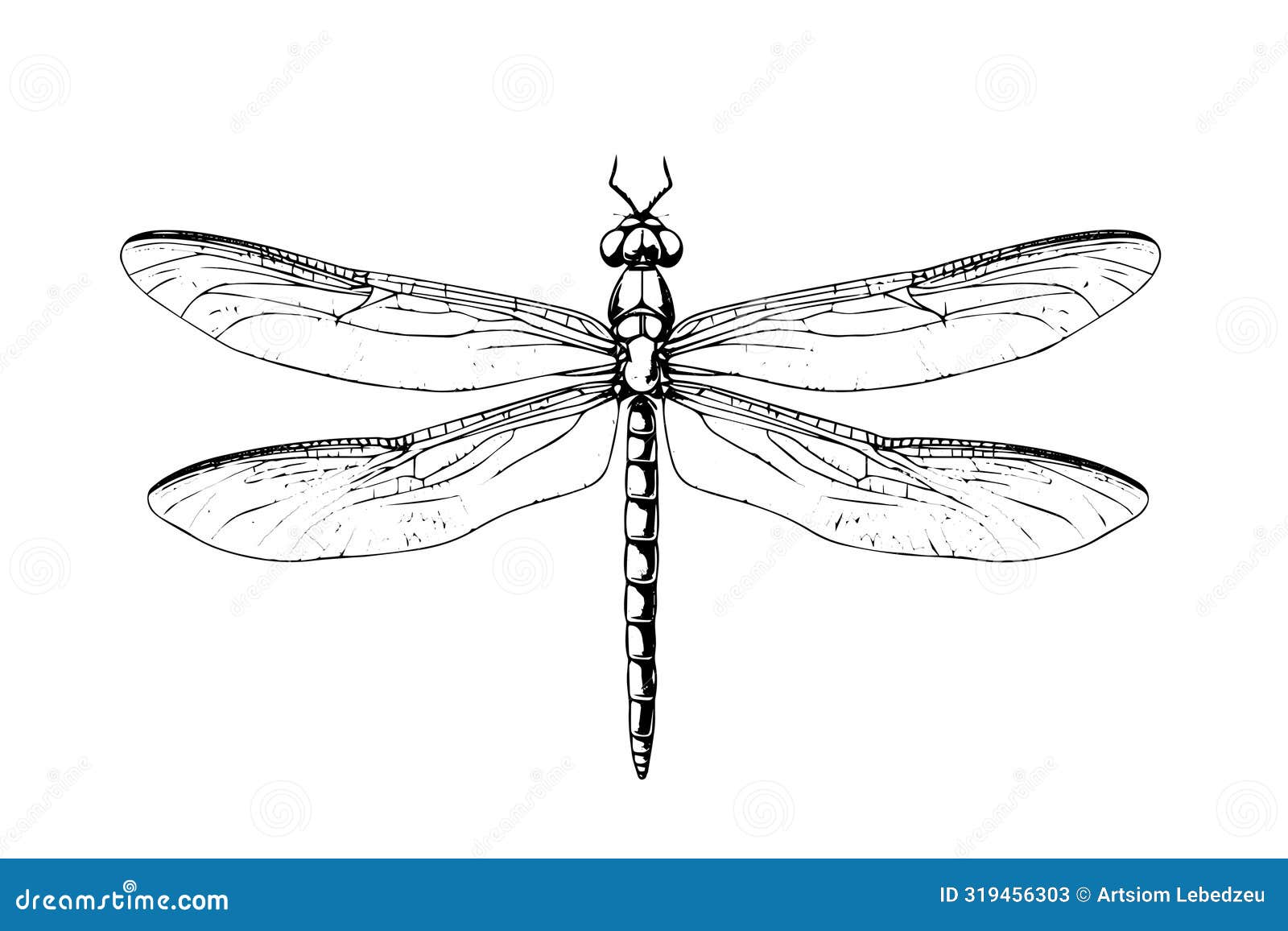 Dragonfly Hand Drawn Ink Sketch. Engraved Style Vector Illustration ...