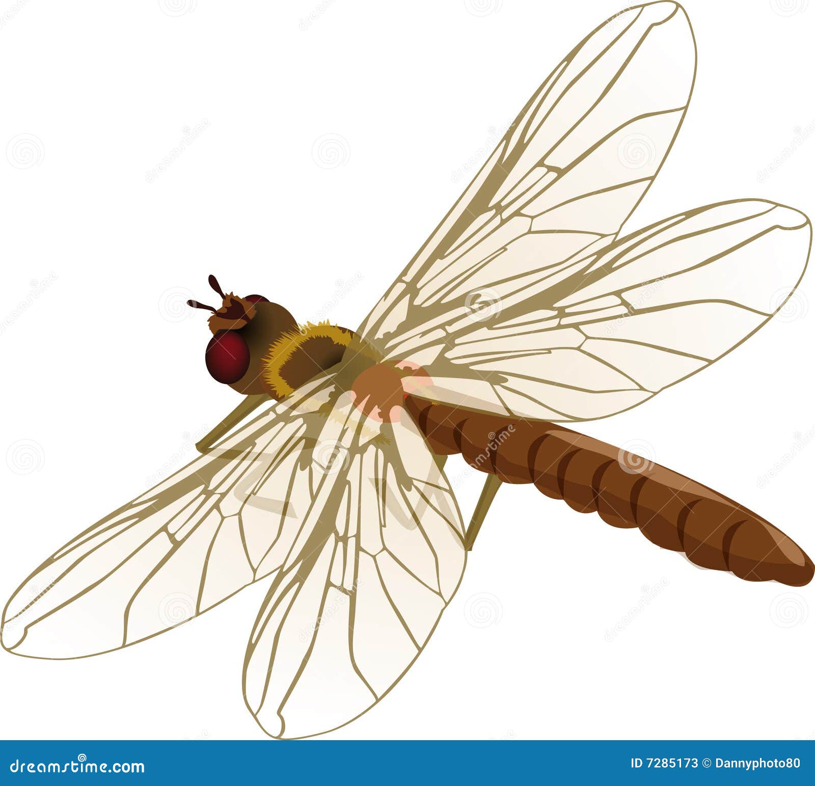 Dragonfly illustration stock illustration. Illustration of graphic ...