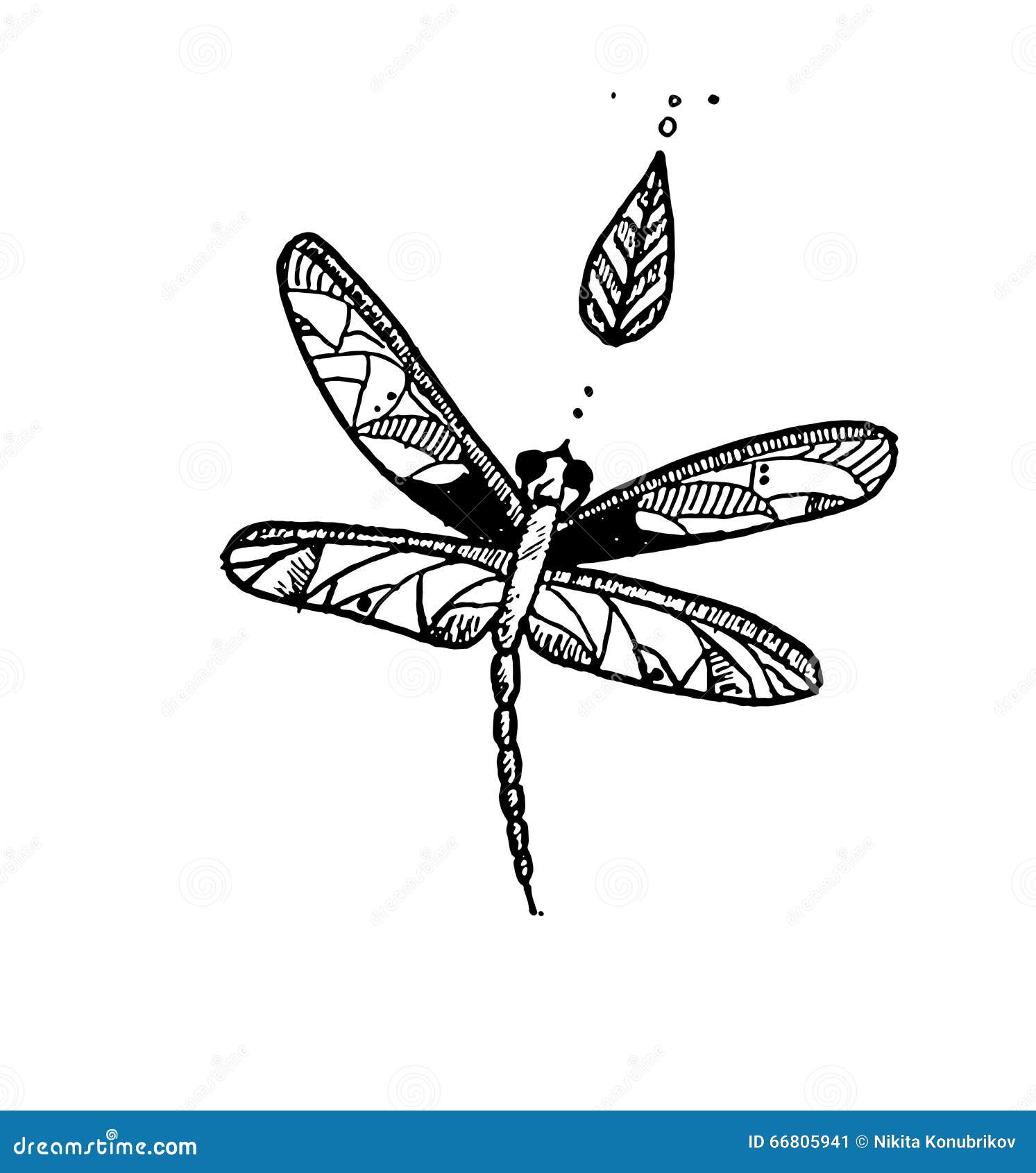 Dragonfly ink doodle. stock illustration. Illustration of blue - 66805941