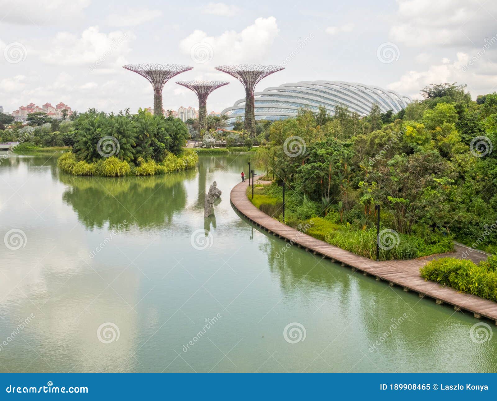 Dragonfly Lake - Singapore editorial image. Image of asia - 189908465