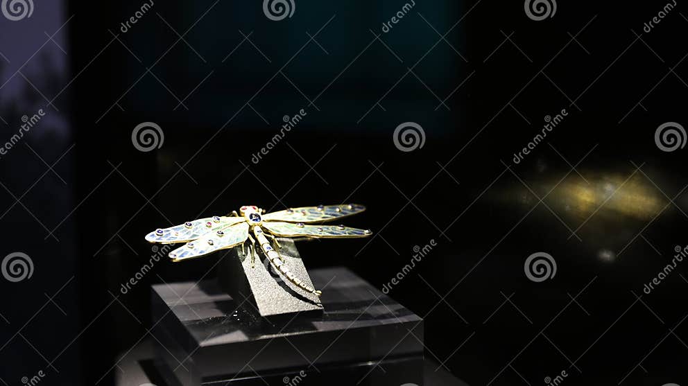 Dragonfly Perched on a Small Object in Darkness Stock Photo - Image of ...