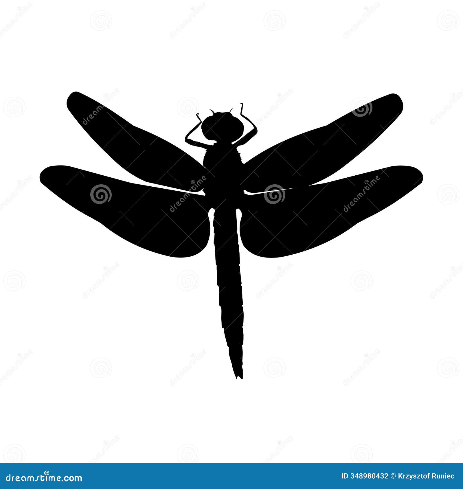 Dragonfly Silhouette Isolated Stock Vector - Illustration of silhouette ...