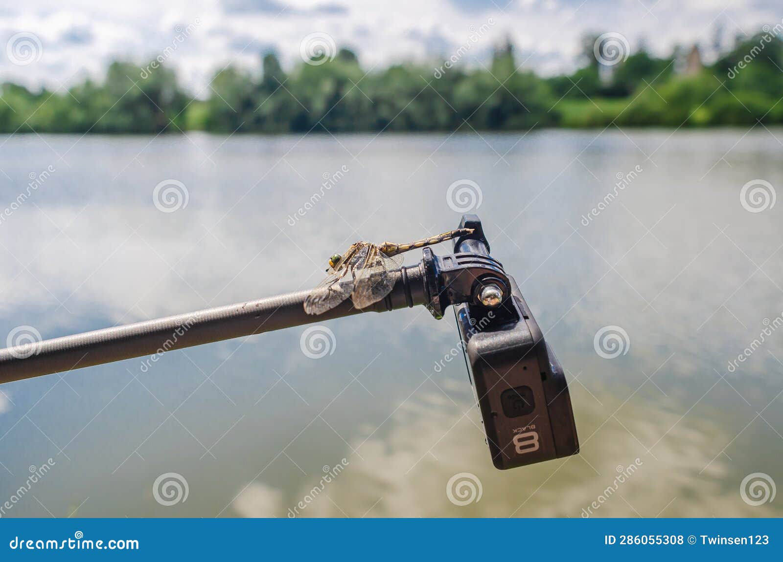 Dragonfly Sits on Tripod Action Camera in Nature. Shooting Nature ...