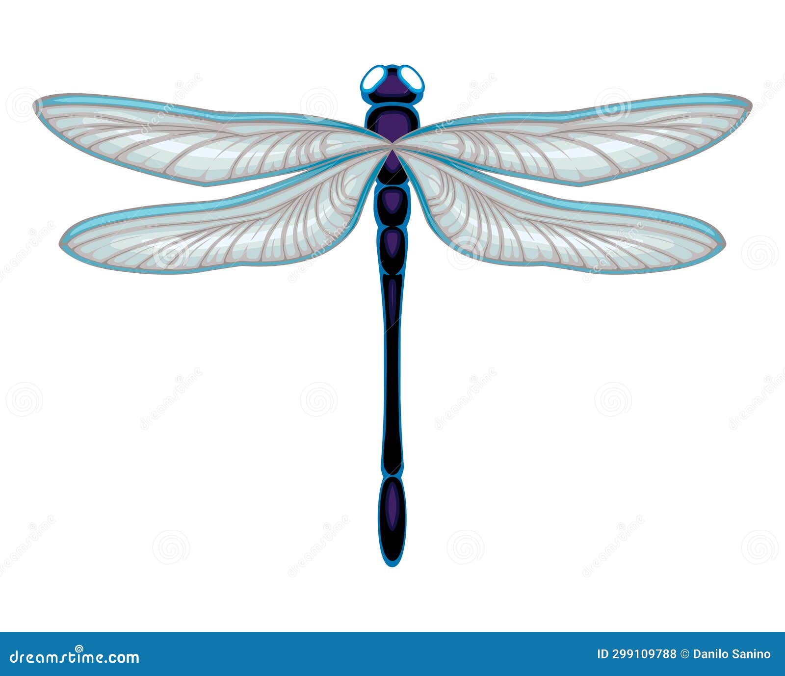 Dragonfly Top View, Vector Isolated Animal Stock Illustration ...