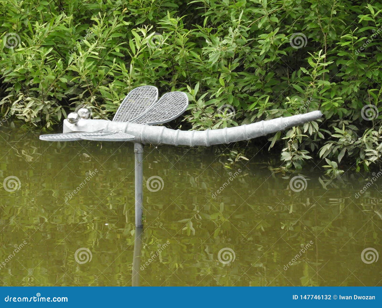 Dragonfly, Water, Stream, Green, Forest Stock Photo - Image of grass ...