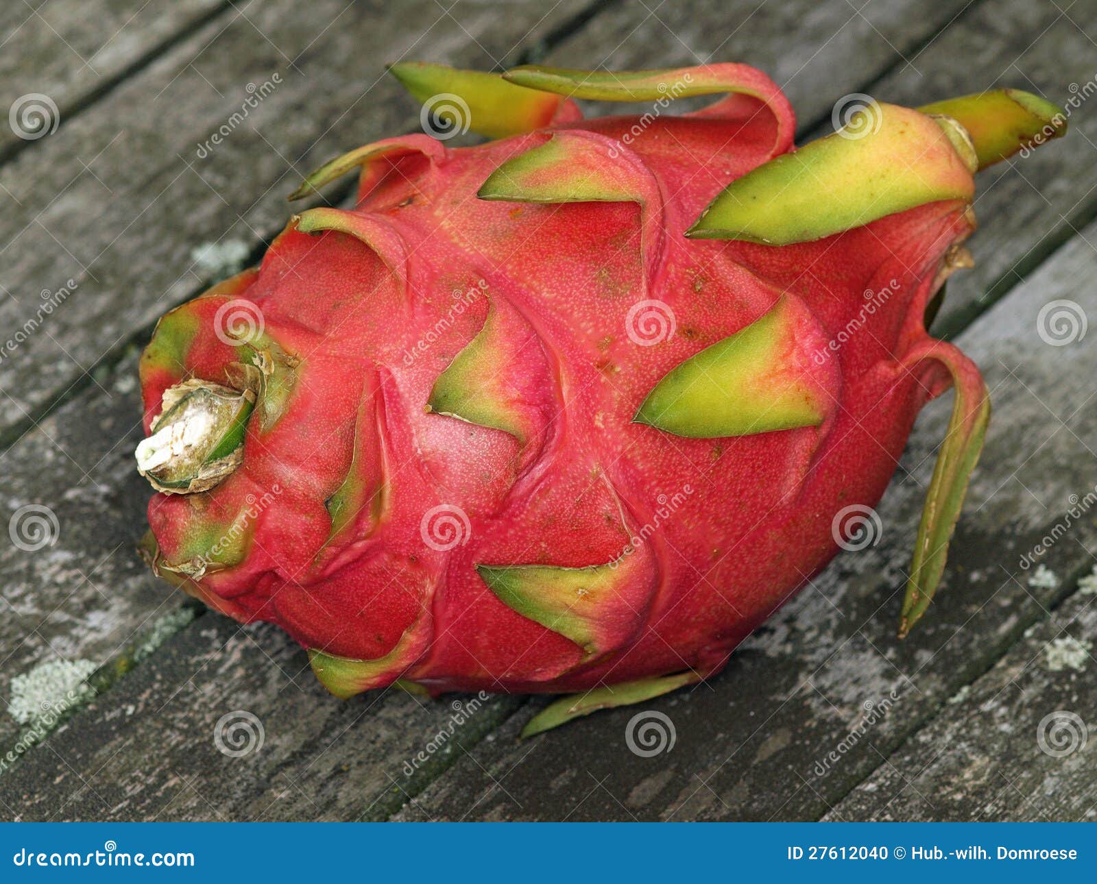 Dragonfruit stock photo. Image of close, bright, life - 27612040