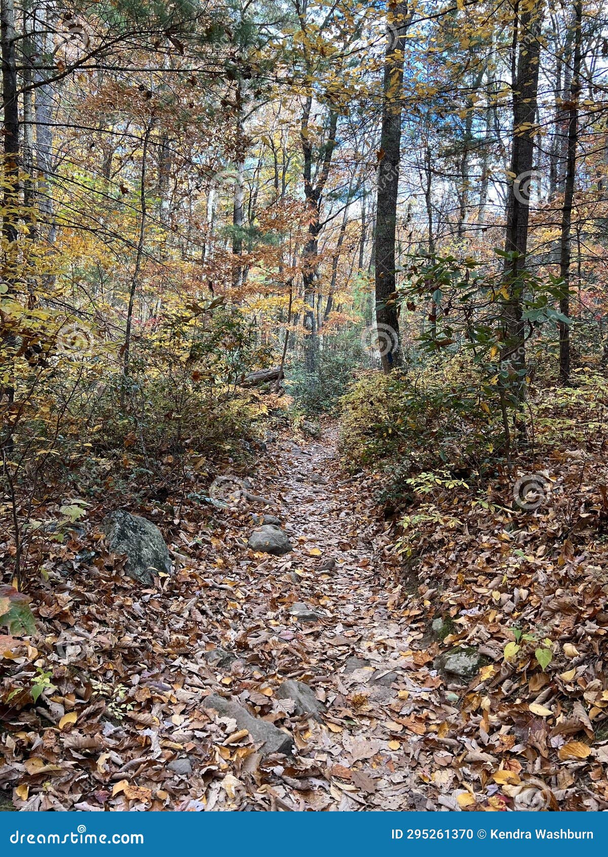 Dragons Tooth Trail in Virginia Stock Photo - Image of trail, woodland ...