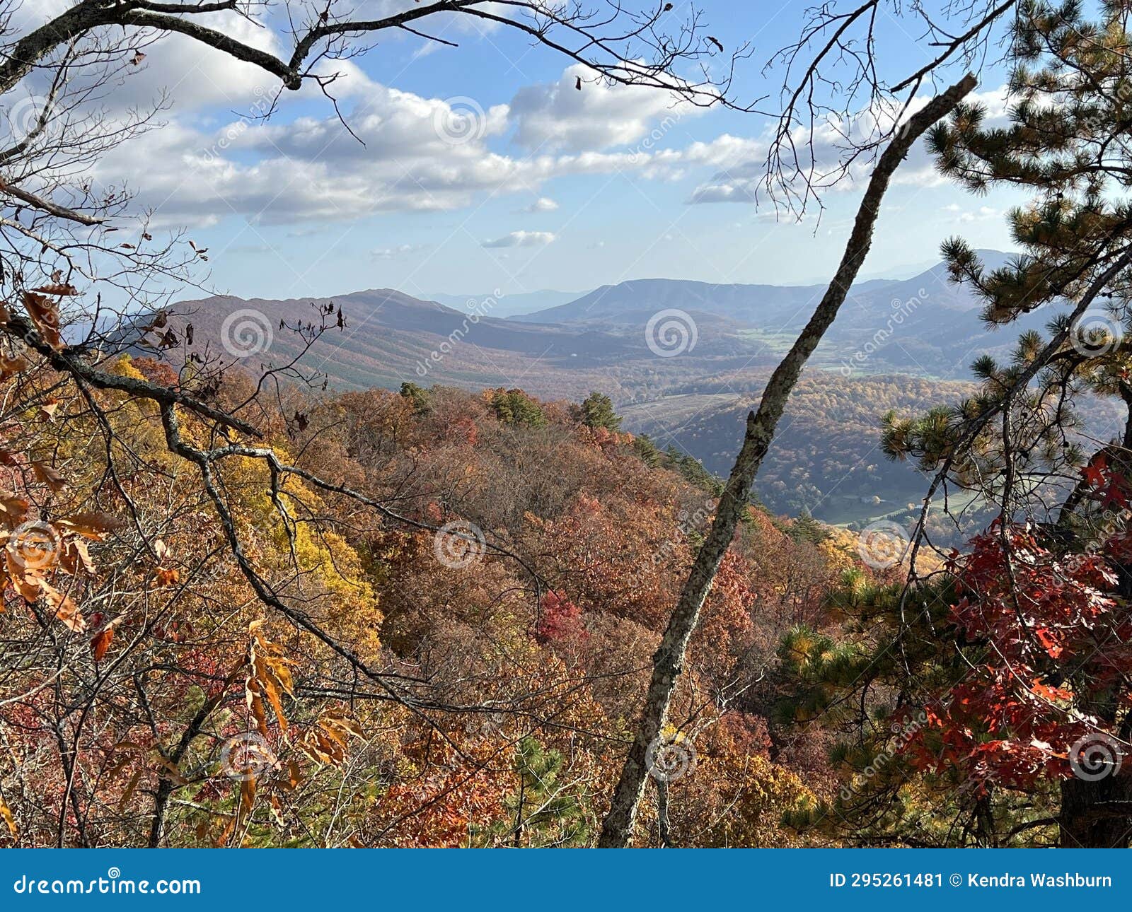Dragons Tooth Trail in Virginia Stock Image - Image of deciduous, trunk ...
