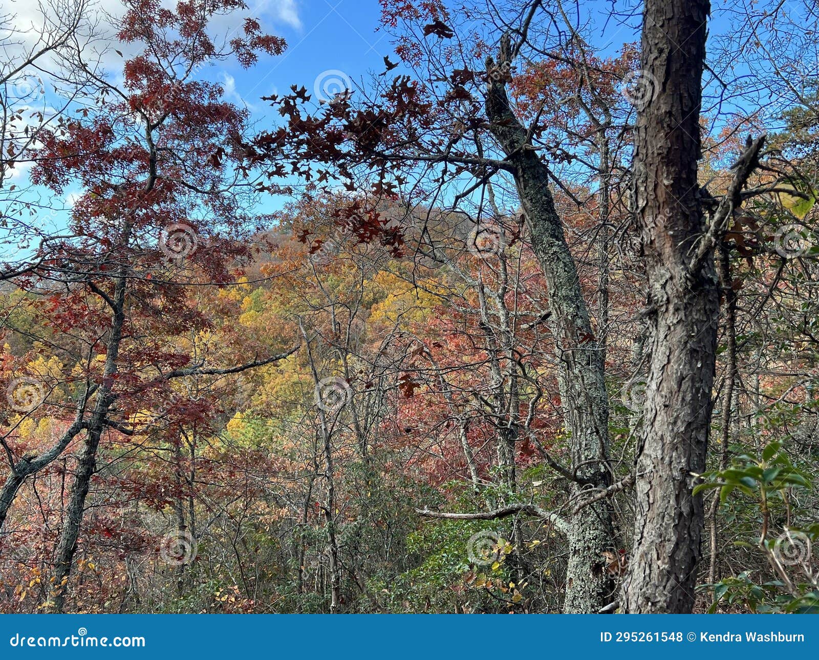 Dragons Tooth Trail in Virginia Stock Photo - Image of trail, forest ...