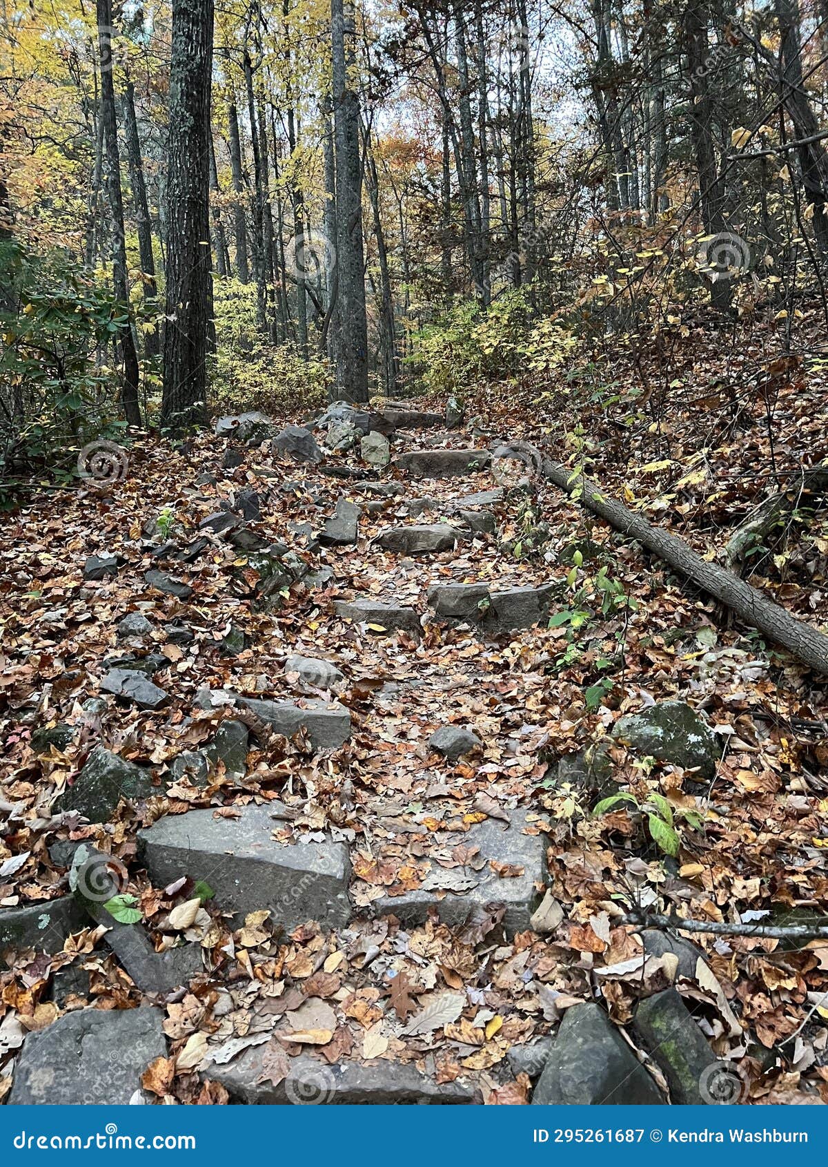 Dragons Tooth Trail in Virginia Stock Image - Image of dragons, autumn ...
