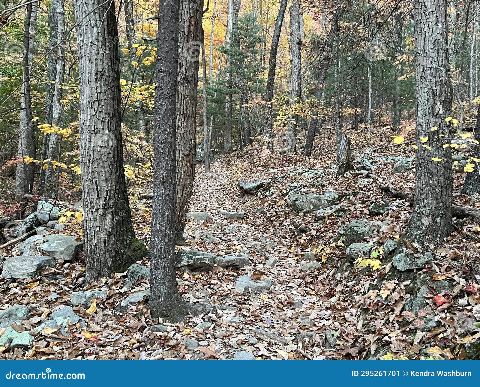 Dragons Tooth Trail in Virginia Stock Image - Image of autumn, plant ...