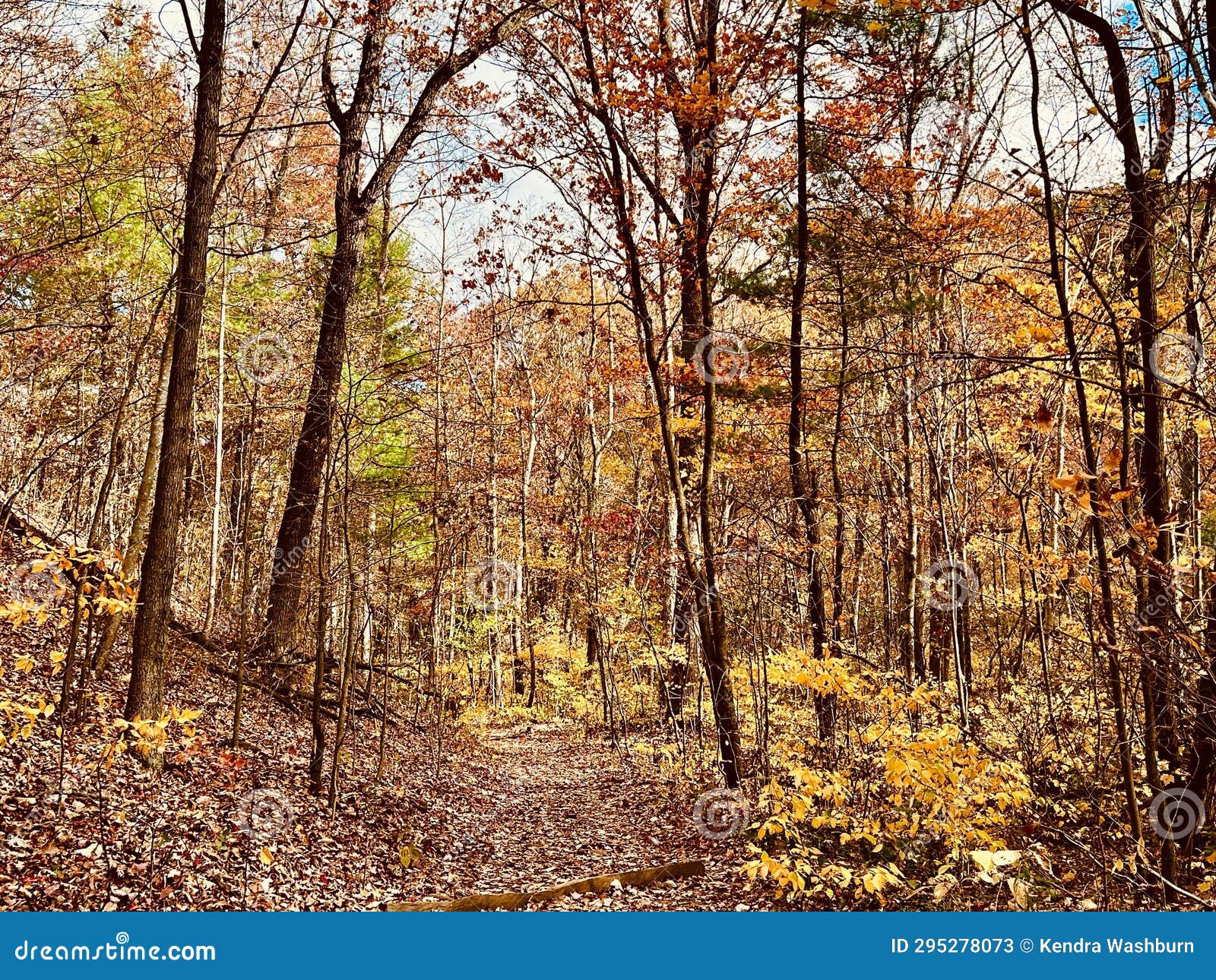 Dragons Tooth Trail in Virginia Stock Image - Image of tree, forest ...