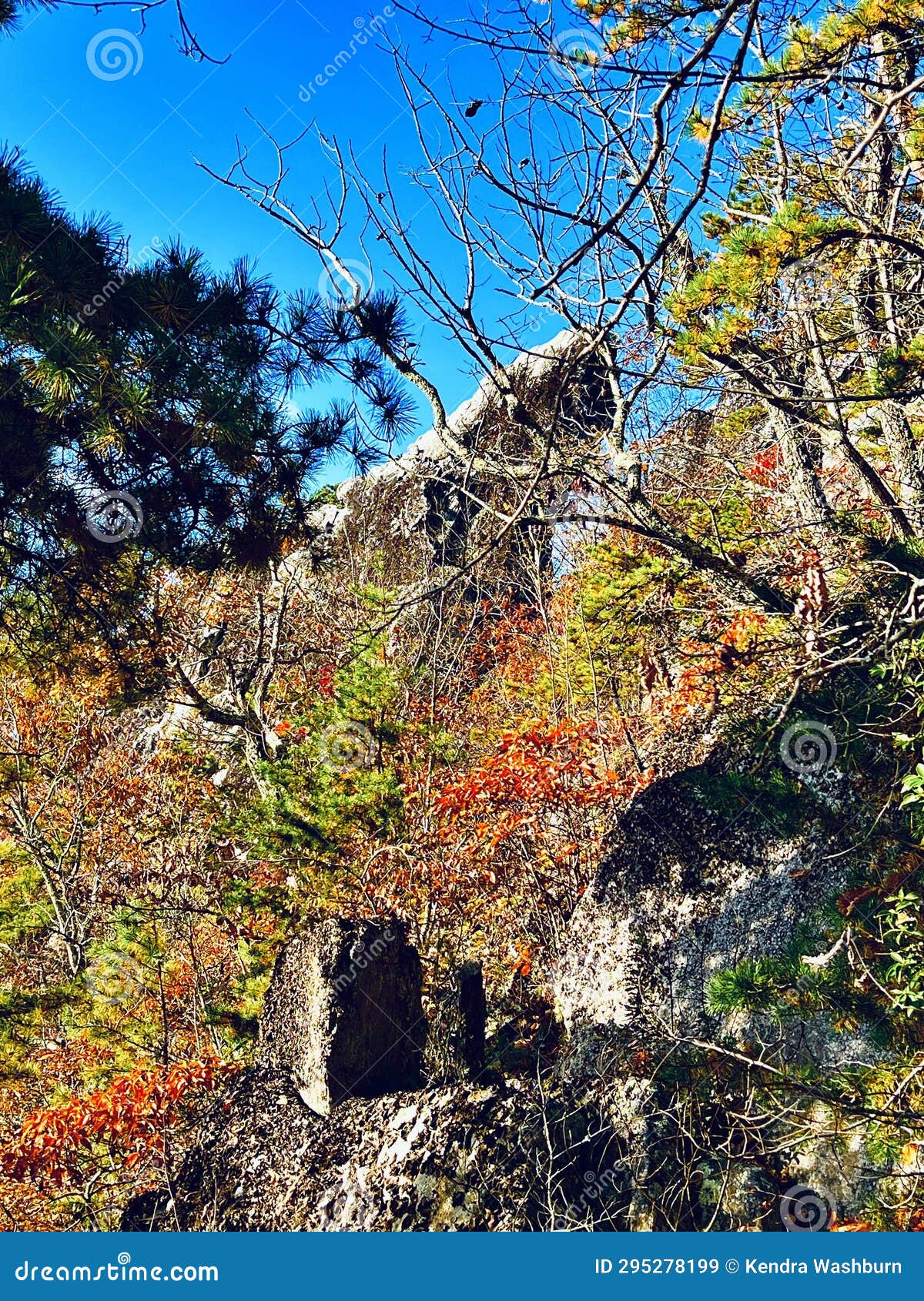 Dragons Tooth Trail in Virginia Stock Image - Image of virginia, leaf ...