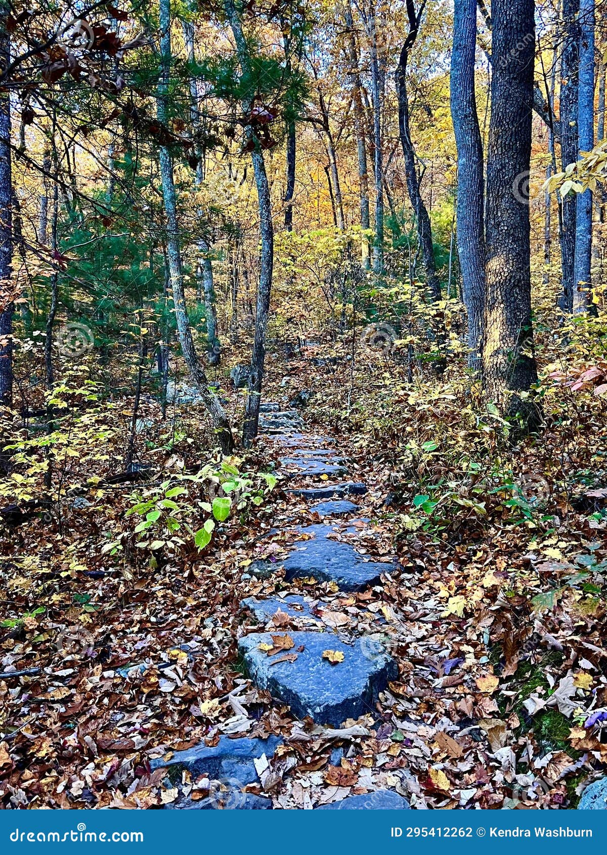 Dragons Tooth Trail in Virginia Stock Photo - Image of wilderness ...